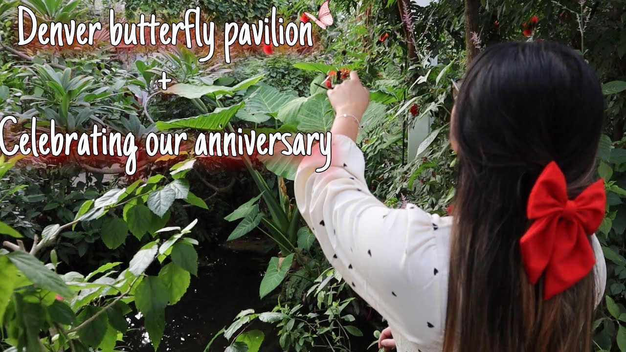 DENVER BUTTERFLY PAVILION + OUR ANNIVERSARY 🦋 - YouTube