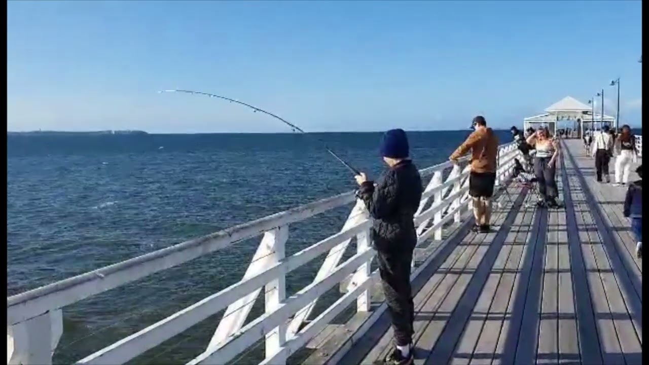 How to catch Yellowfin Whiting at Shorncliffe Pier - YouTube