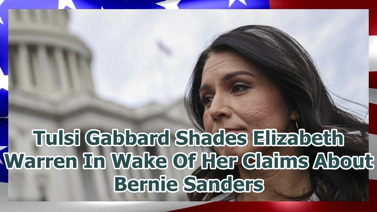 Tulsi Gabbard Shades Elizabeth Warren In Wake Of Her Claims About ...