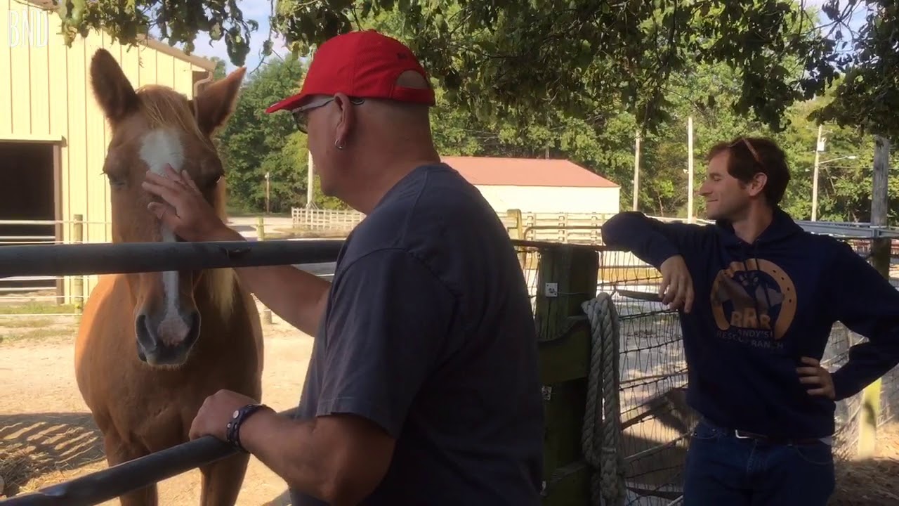 Randy's Rescue Ranch opens in O'Fallon Saturday - YouTube