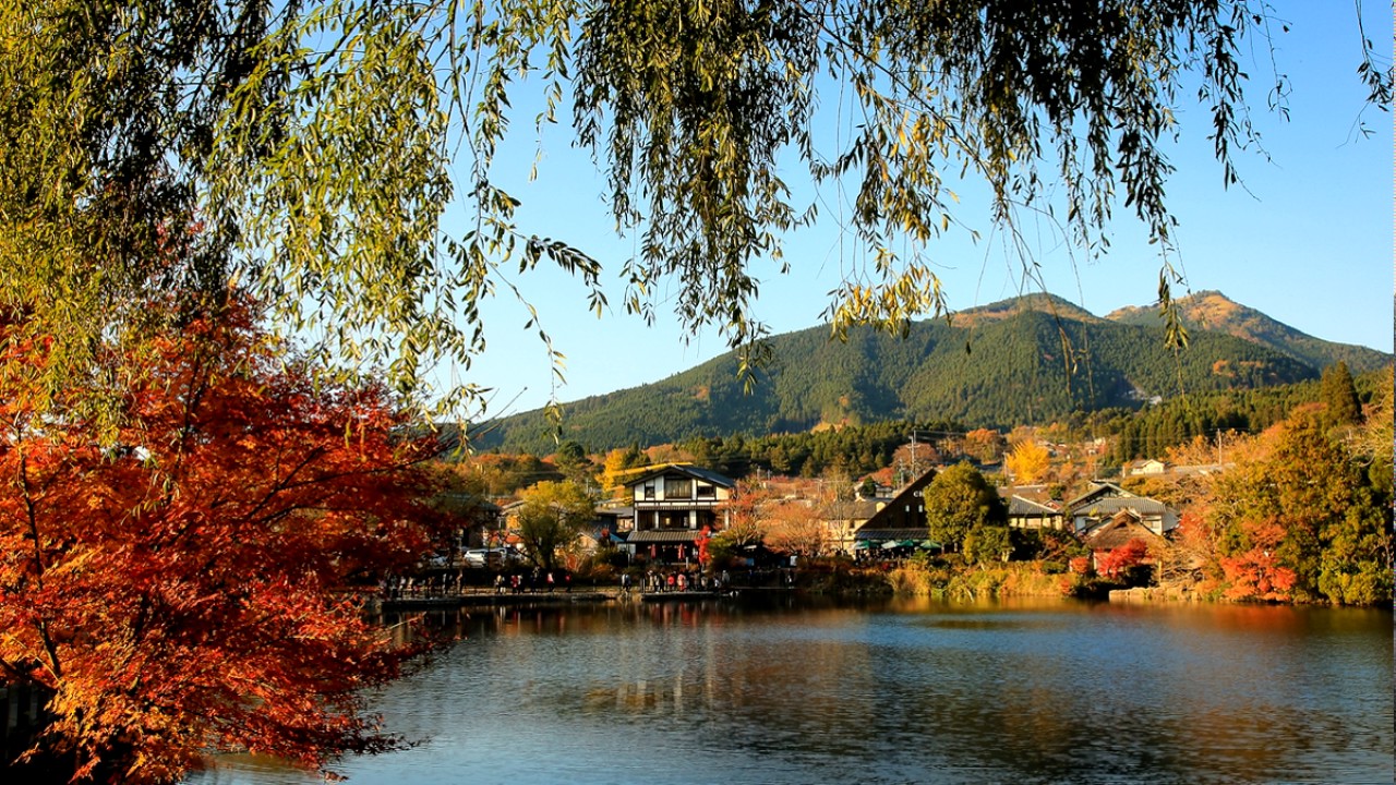 Plotagraph Pro Japanese Lake & Discount Offer [1200px, 25fps] - YouTube