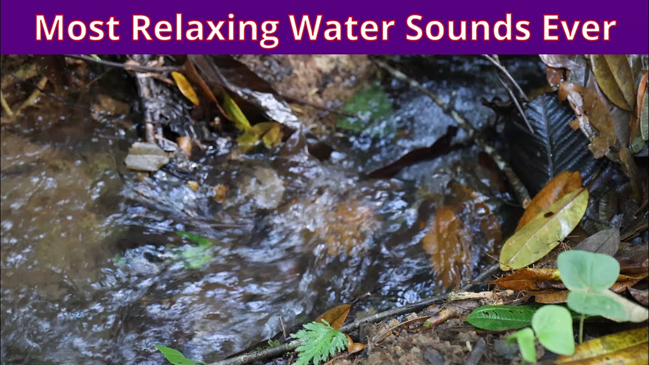 Most Relaxing Water Sounds Ever. Peaceful Water Ambience for Spa, Yoga ...