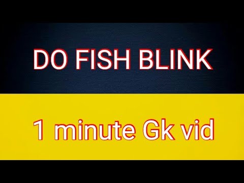 14 Gk video Abt DO FISH BLINK | TWINKLE STAR S | - YouTube