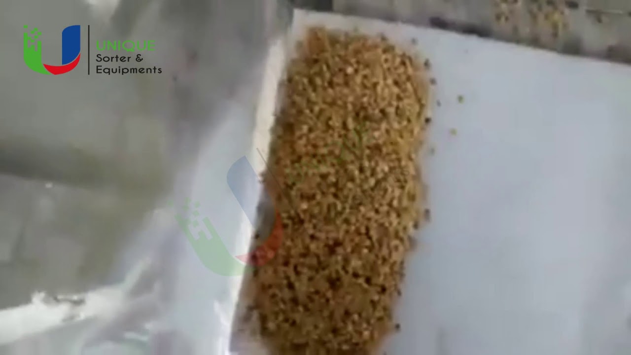 Pulses sorter, Toor Dal sorter, Dal sorter | unique sorter | Sortex clean - YouTube