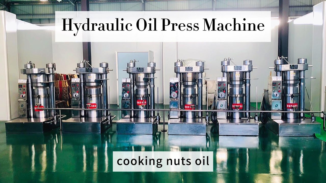 how to make cooking nuts oil by hydraulic cold oil press machine? - YouTube