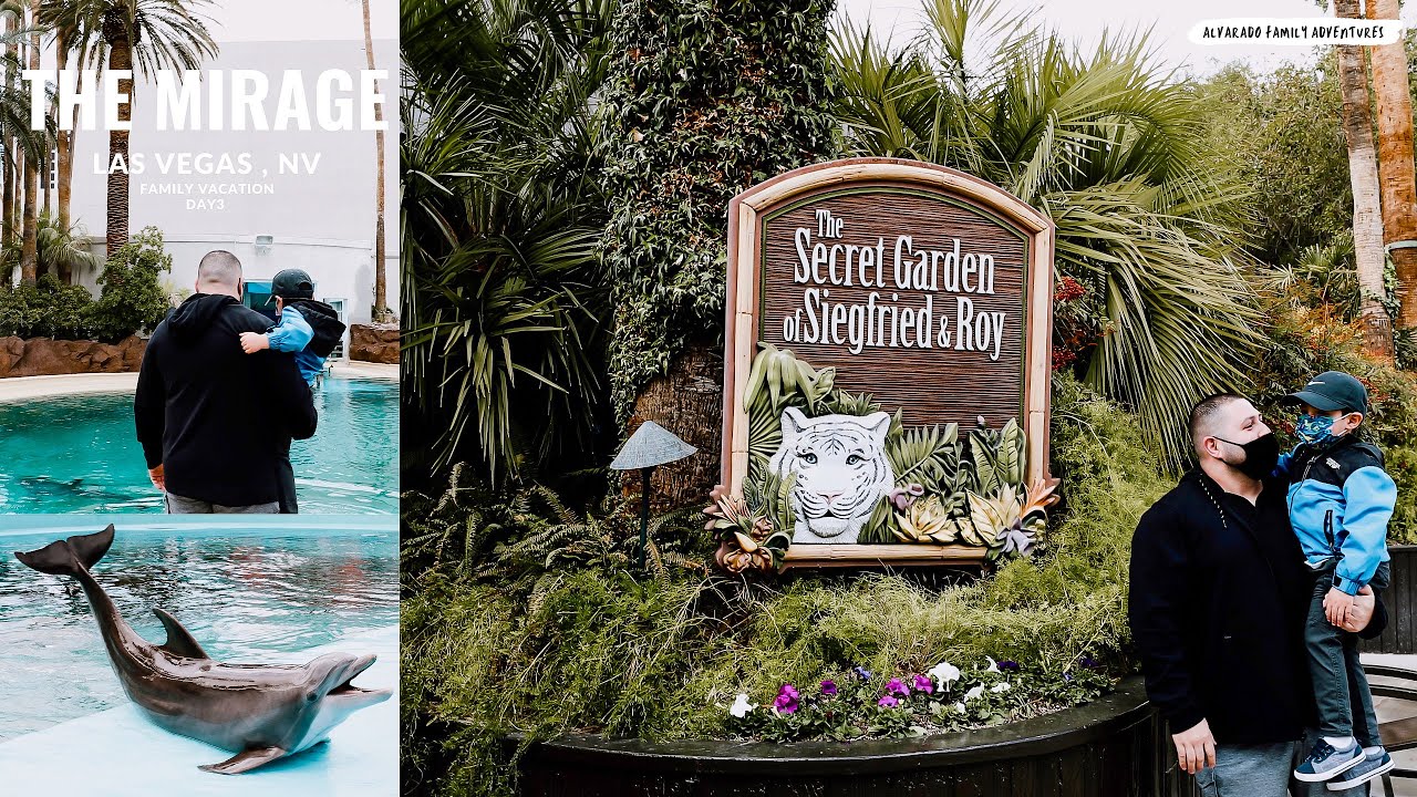The Mirage - Secret Garden and Dolphin Habitat | A place to bring your ...