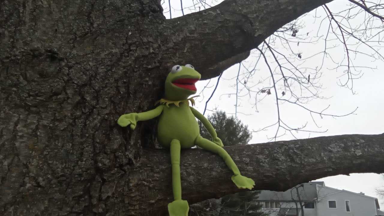 The Kermit The Frog Show: Ep.1: Kermit's Journey - YouTube