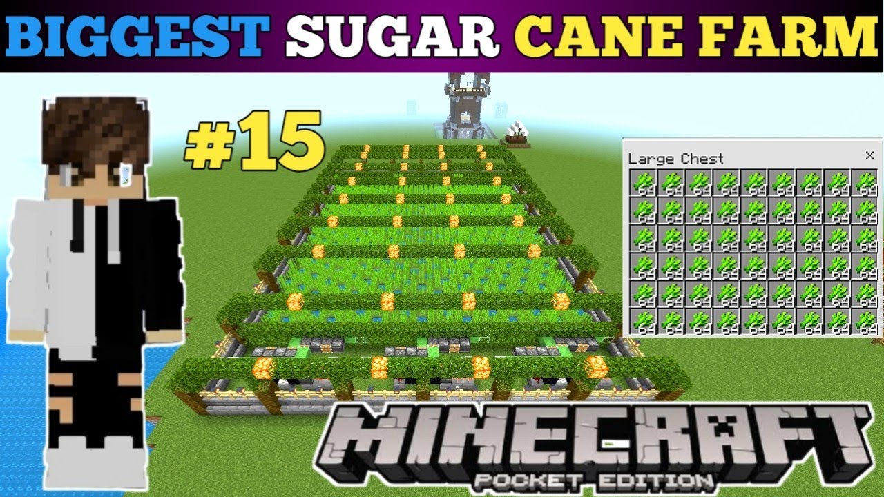 I Made Biggest Sugar Cane Farm | Skylight Gamerz | Minecraft Survival ...