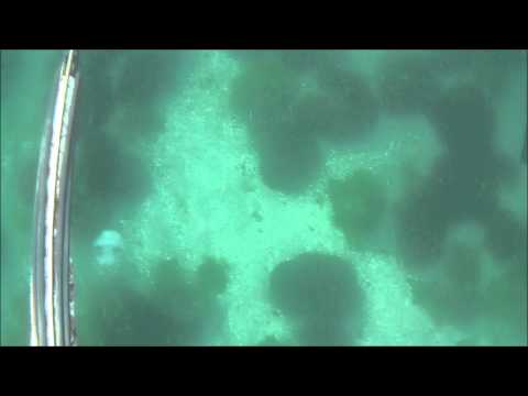 mezdeke ve kalkan avı