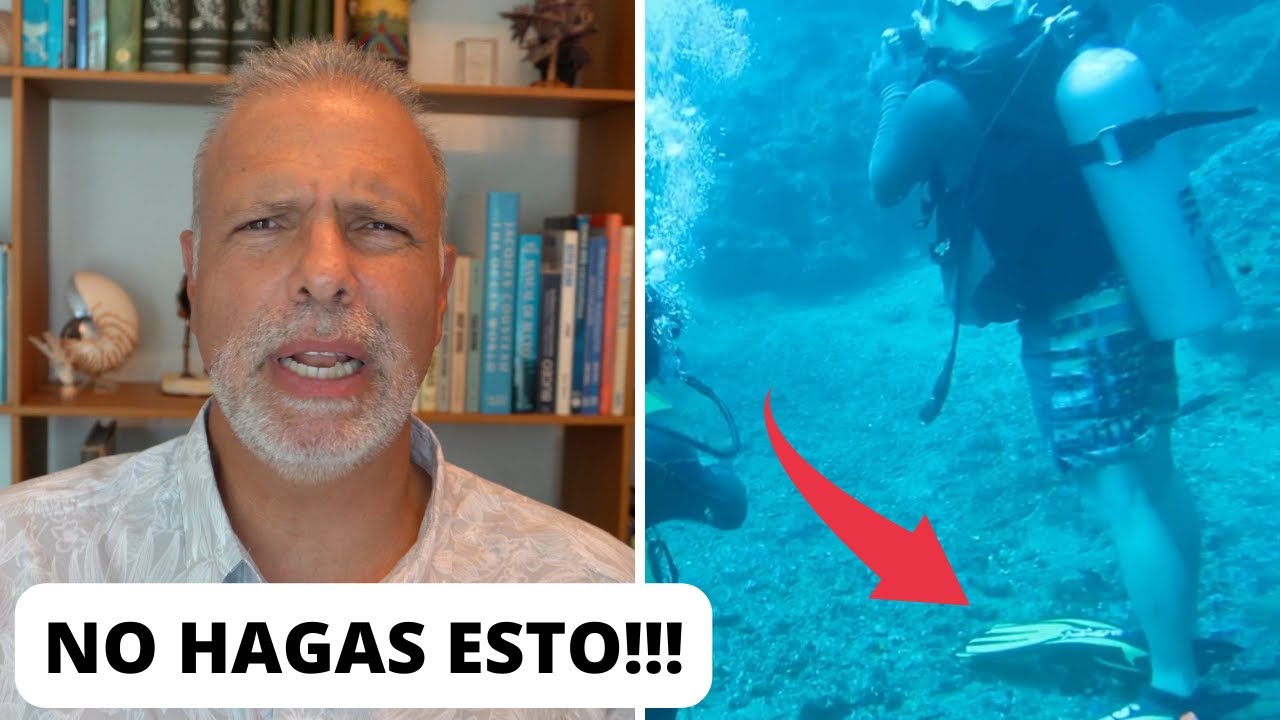 REACCIÓN: La Peor Educación Subacuática Que He Visto!!! [NO HAGAS ESTO ...