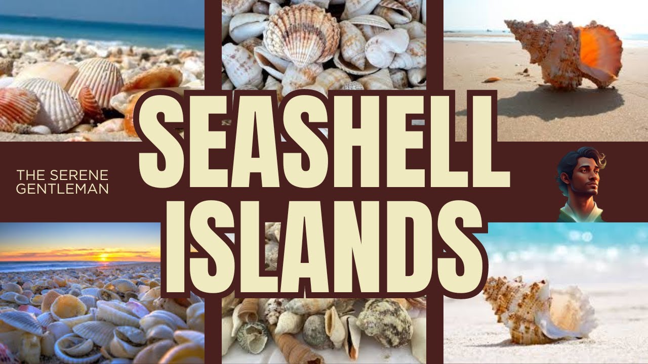 10 Secluded Coastal Seashell Islands - YouTube