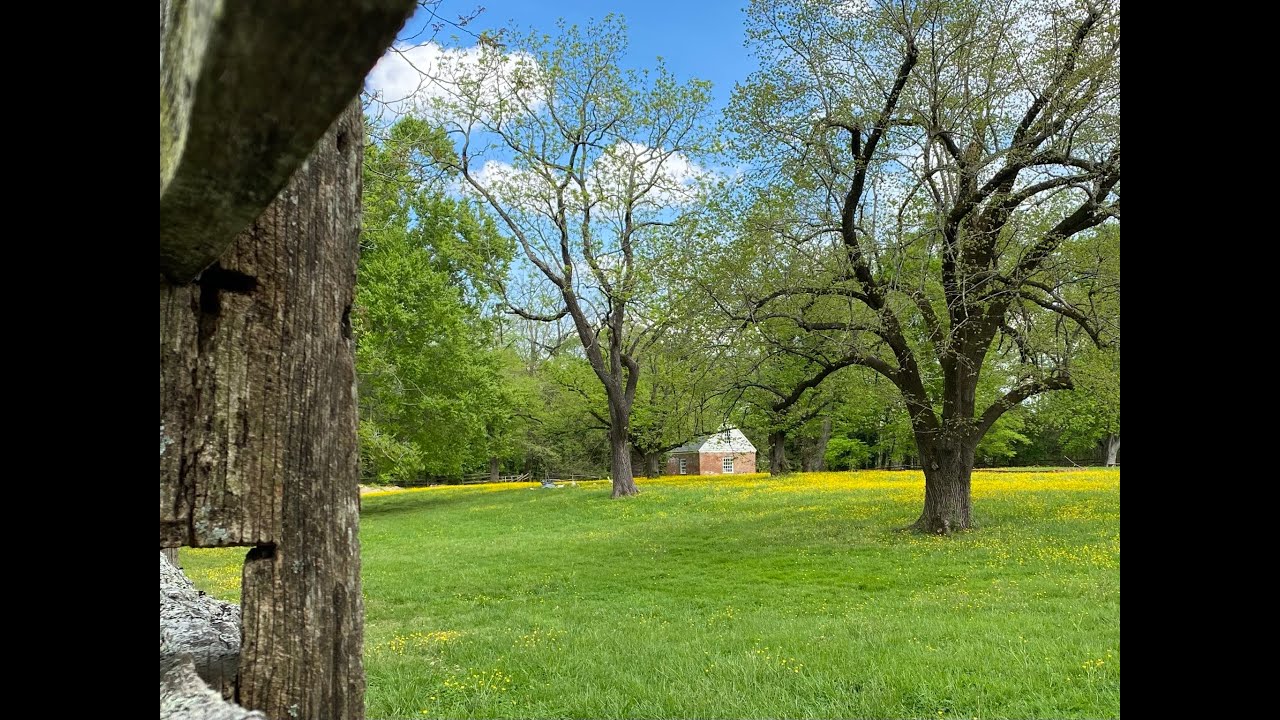 “Long and Assiduous Endeavors”: The Archaeological Exploration of John ...