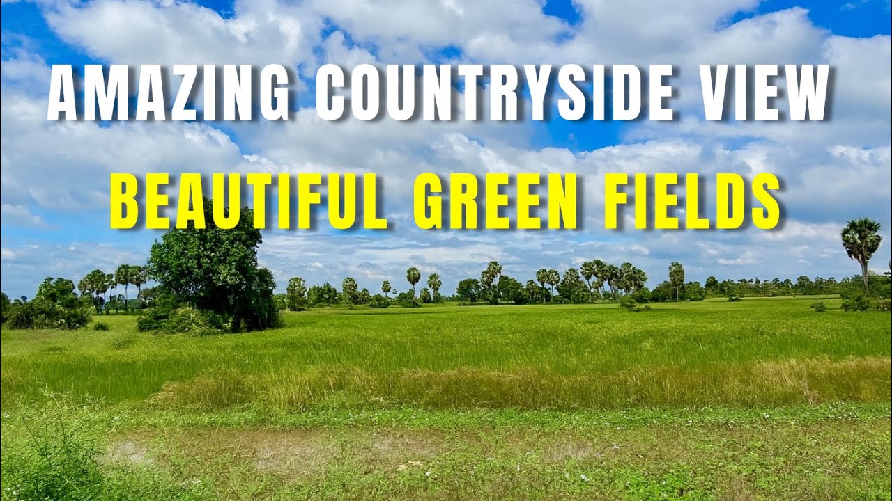 Beautiful Countryside Scenery in Cambodia – Peaceful Green Fields ...