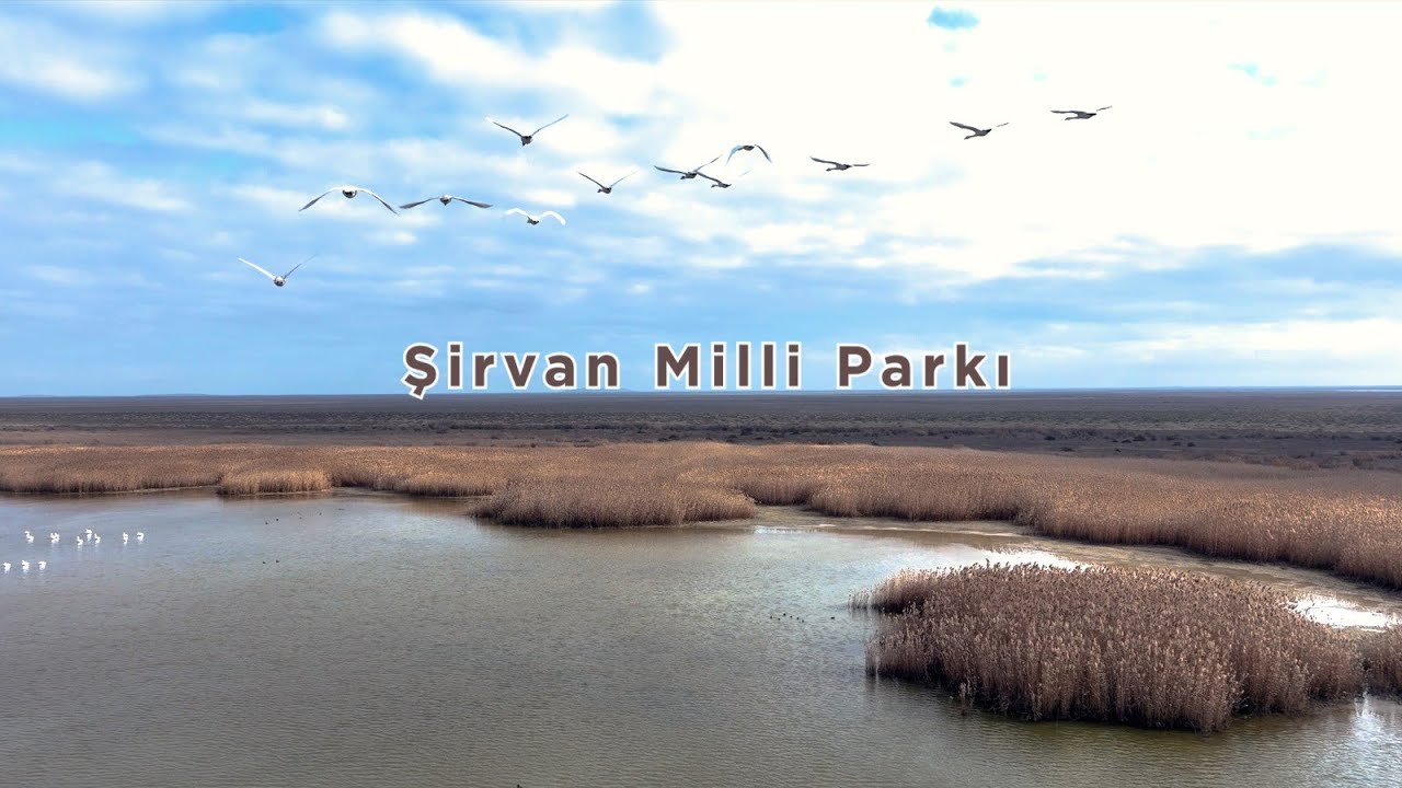 Şirvan Milli Parkı - YouTube