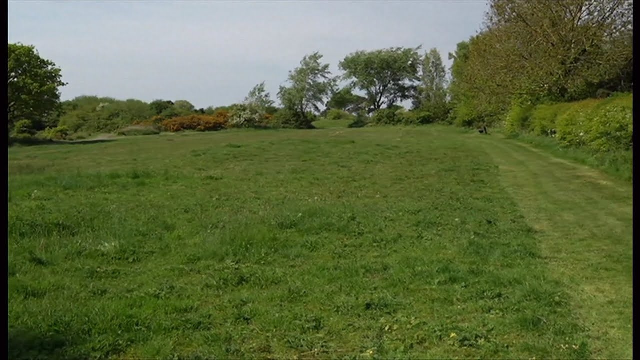 No Mow May time has begun again (UK) 1/May/2025 - YouTube
