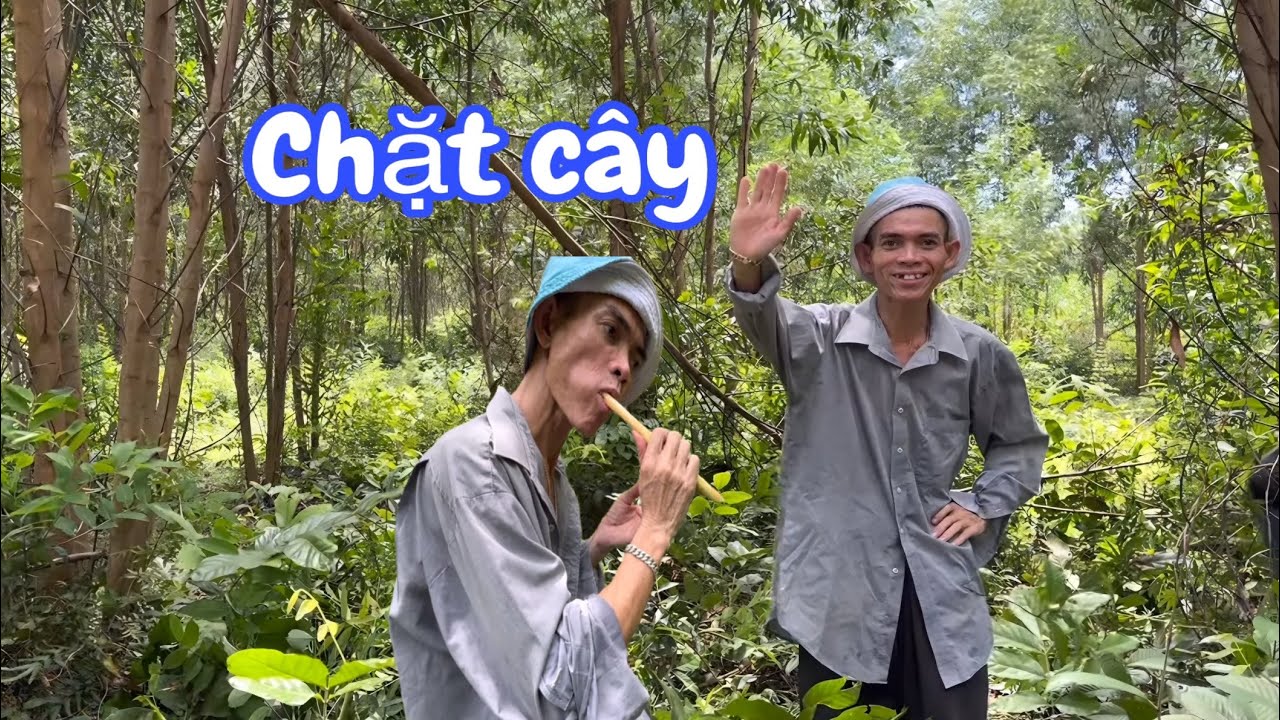 Hôm Nay Y Tiết Chặt Cây Rất Vui | Soytiet Official - YouTube