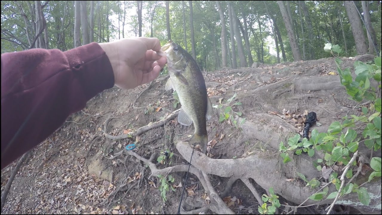 Fishing at the Ramapo Reservation - YouTube