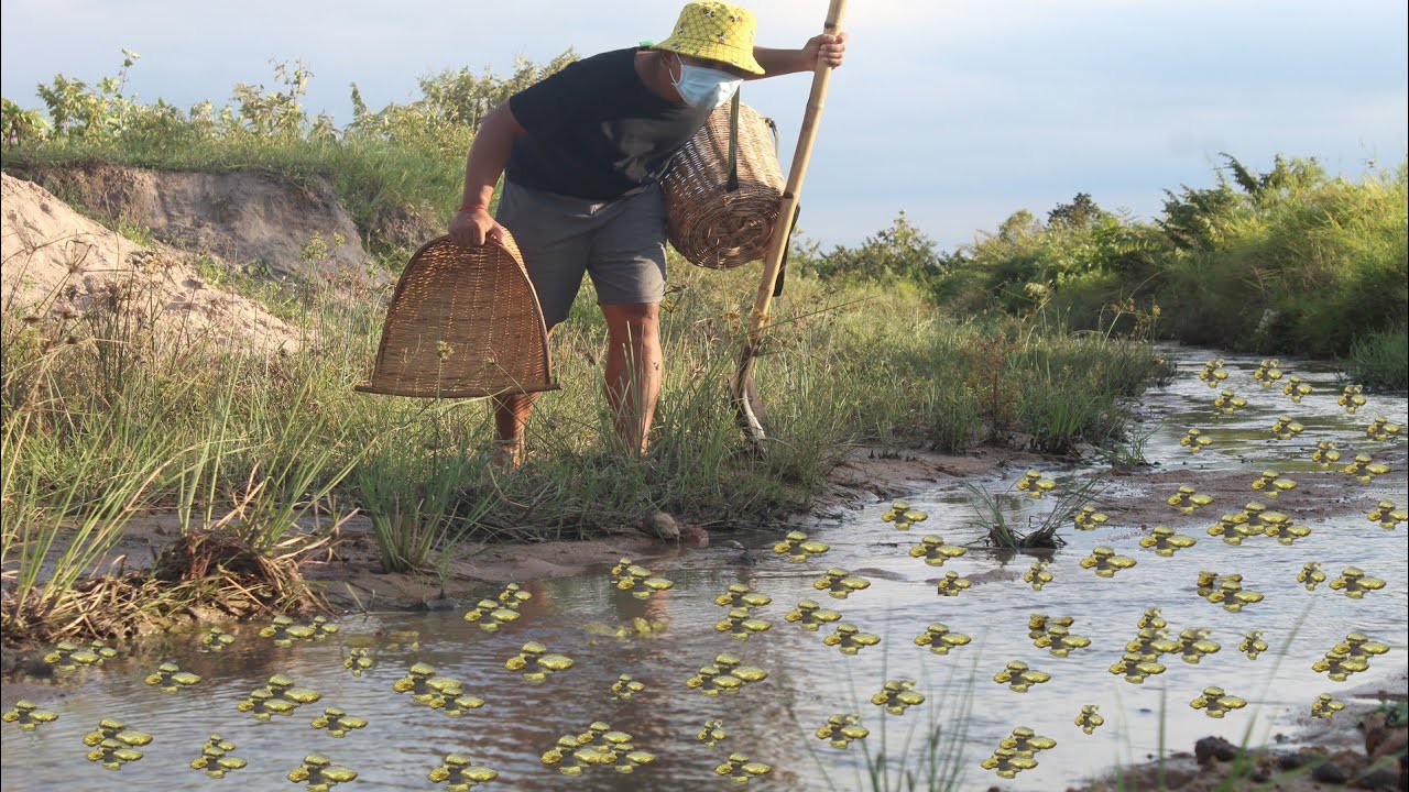 OMG!! Poor Man Dig Sand See Million Golds Follow Running Water River ...
