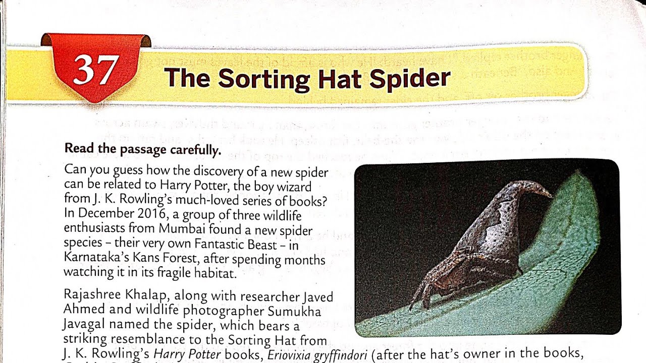 The Sorting Hat Spider |Ch-37|Class-8|Collins English Grammar and ...