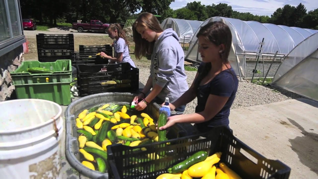 Community Harvest Project Giving Tuesday - Give Ten - YouTube