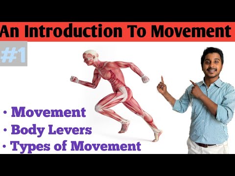 An Introduction to movement Exercise Therapy|#1|Movements,Body levers ...