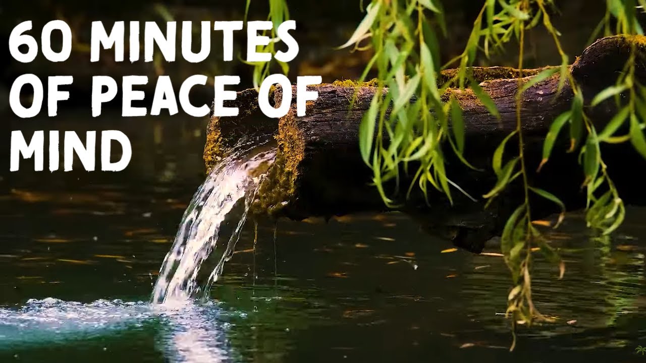 One hour with nature / These natural landscapes make me at peace with ...