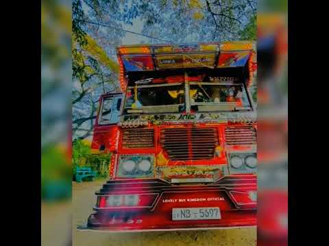 Vip bus with apa boy lovers - YouTube