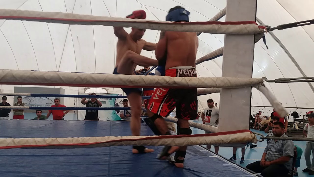 Georgia Tbilisi Kickboxing Professional Tournament 2017 پوریا متین ...