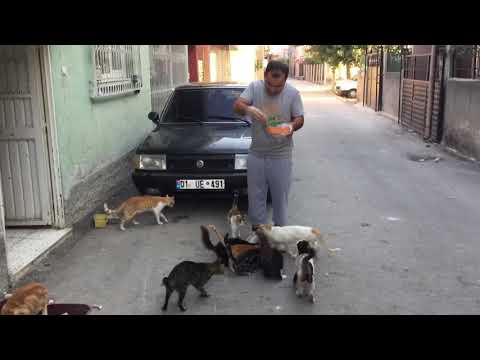 ÖRNEK OLSUN DİYE PAYLAŞTIM(26/10/2017)