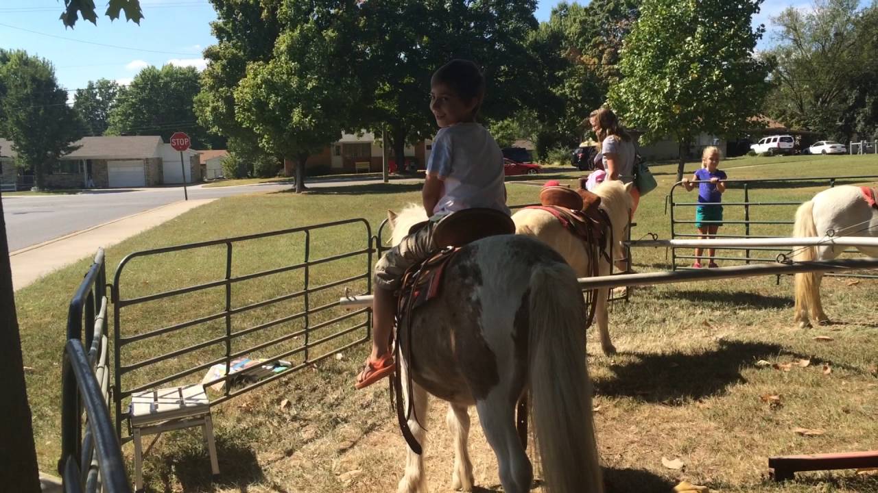Petting Zoo & Pony Rides - YouTube