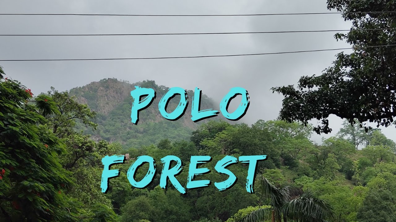 Polo Forest Vijayanagar Gujarat || Polo Forest || Harnav Dam || Gujarat ...