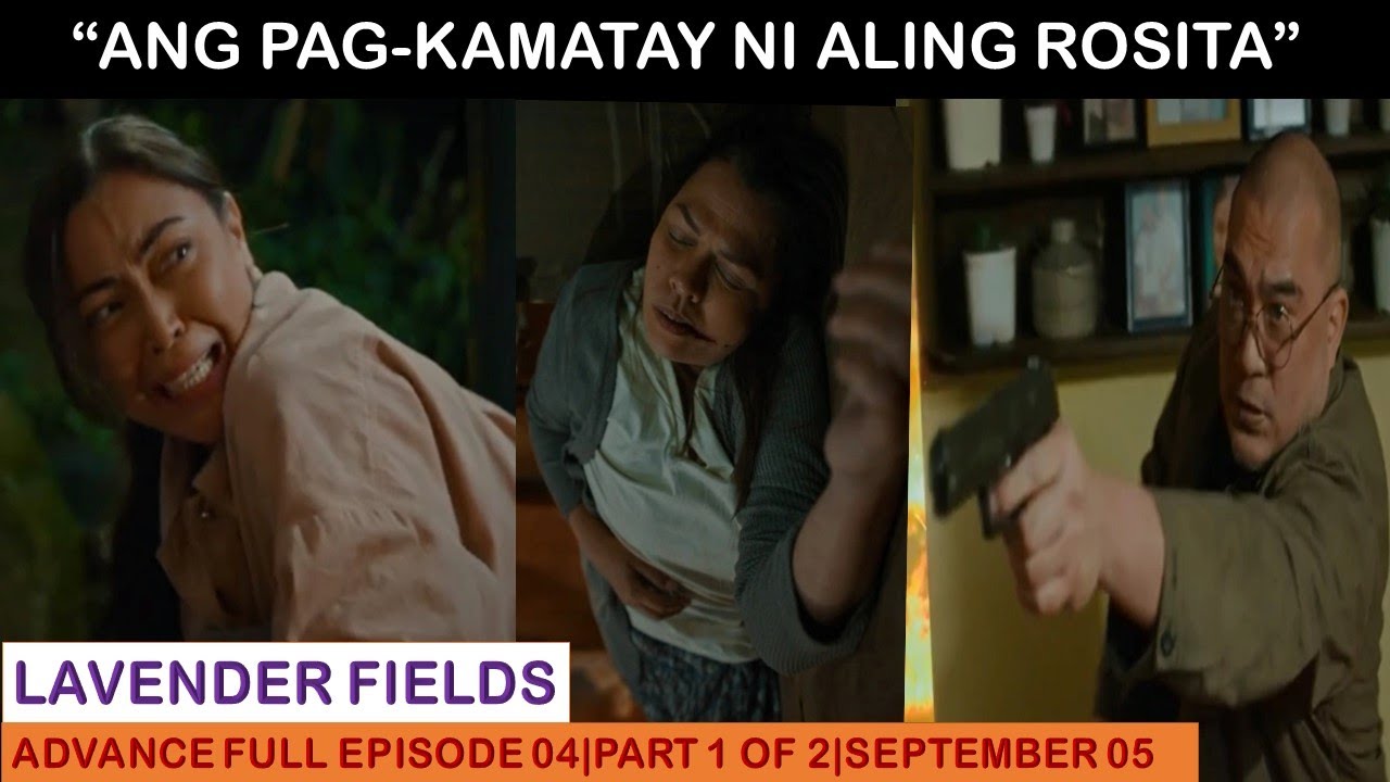 LAVENDER FIELDS|ADVANCE EPISODE 04|PART 1 OF 2|SEPTEMBER 05,2024 - YouTube