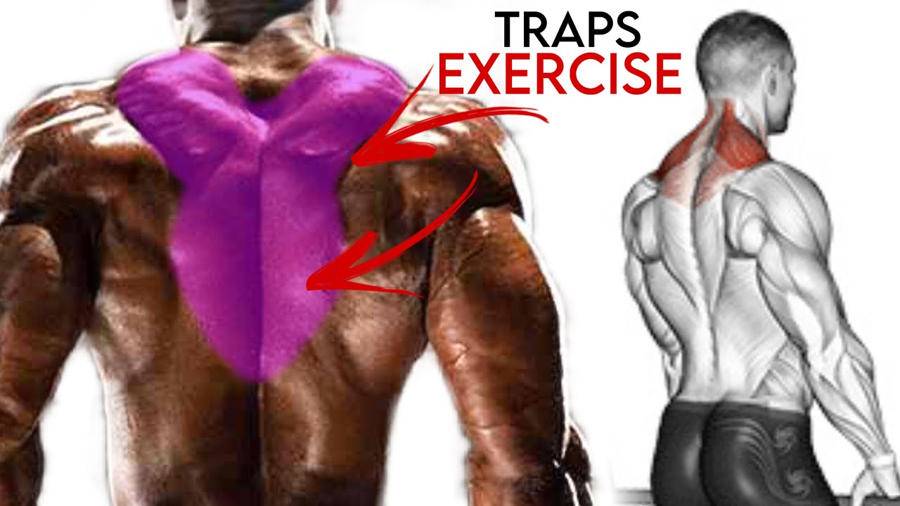 7 BIGGER TRAPS EXERCISE | fit factory - YouTube