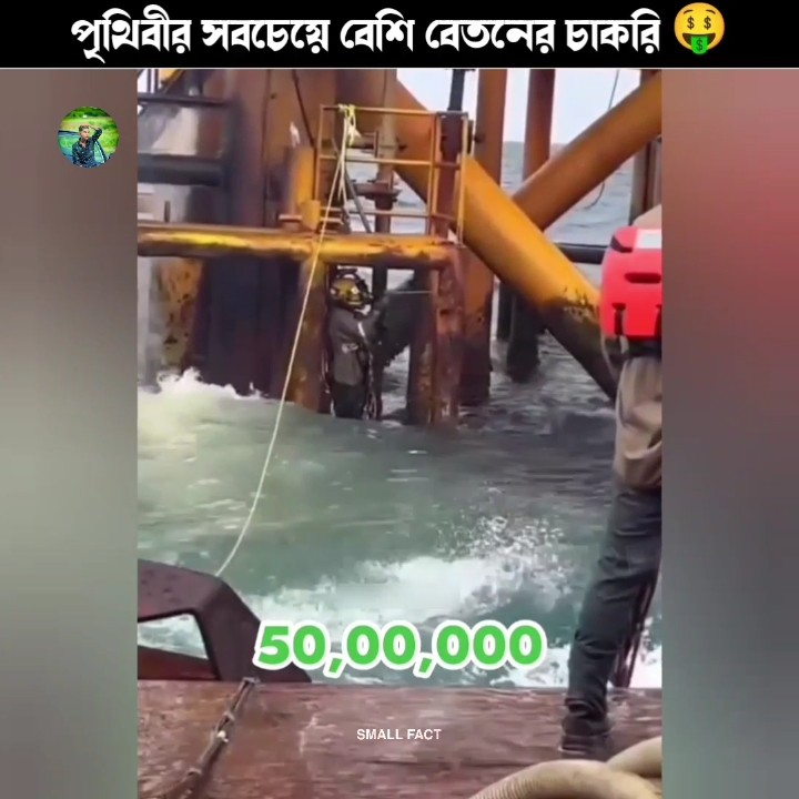 The most unusual jobs in the world.😨 - YouTube