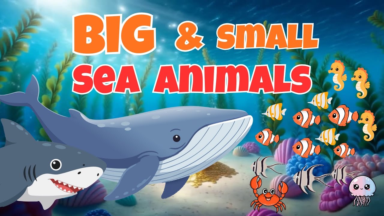 Big & Small Sea Animals for Kids 🐋🐠 | Fun Ocean Learning - YouTube