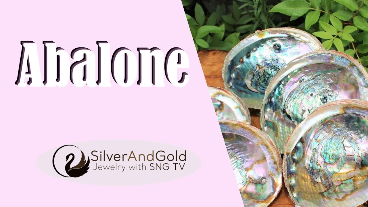 Abalone 101: Everything You Need to Know About These Gorgeous Sea ...