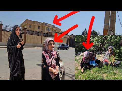 The end of a road; Shokoofeh filed for divorce