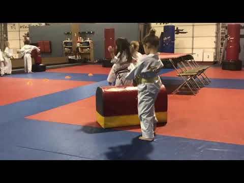 Dru killing taekwondo 🥋