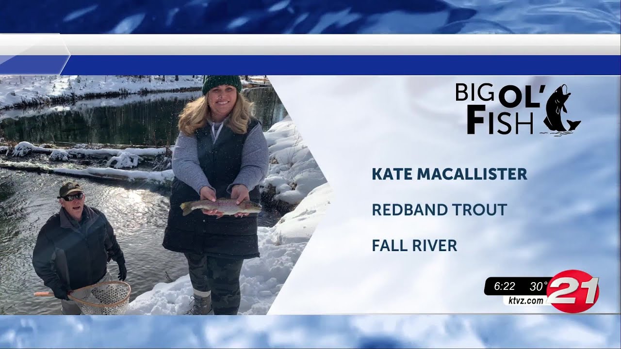 Big Ol' Fish: Kate and David are highlighted - YouTube