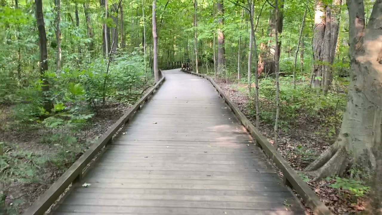 Ohio Columbus Forest park so nice place - YouTube