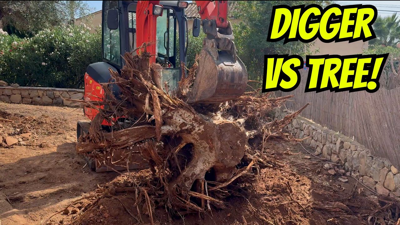 DAY 563: IT'S MY BIRTHDAY! DIGGING UP TREE ROOTS! - YouTube