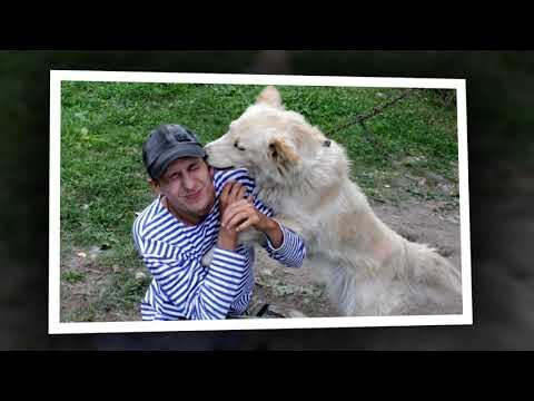 История одной дружбы - YouTube