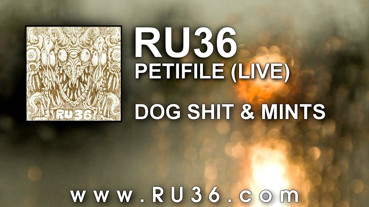 RU36 - Petifile (Live) - YouTube
