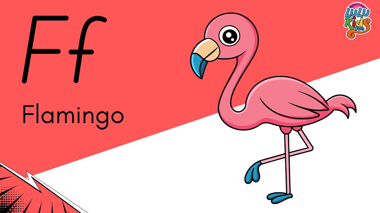 F is for Flamingo | A to Z Animal Alphabet for Kids | Fun Learning ABC ...
