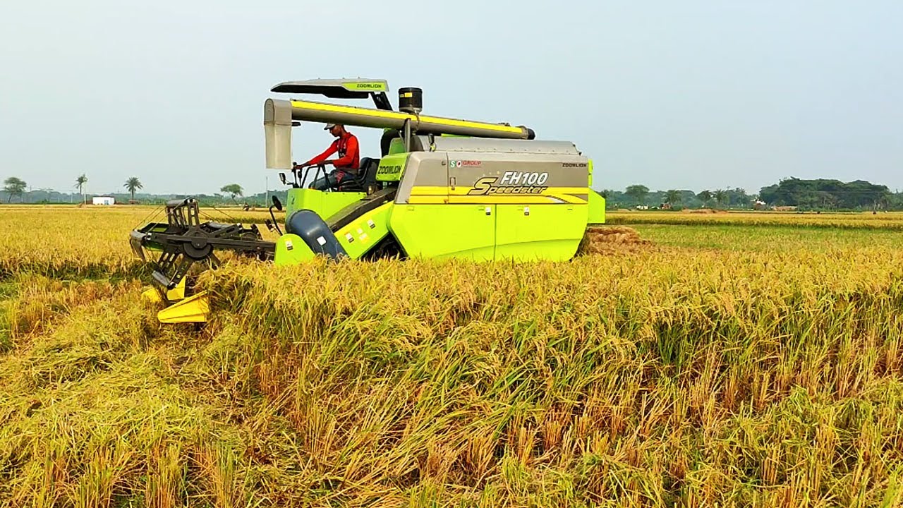 Best Rice Harvester Machine Skills Work // village agriculture // Rice ...