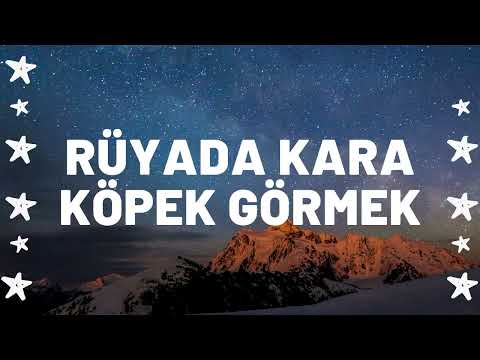 Rüyada Kara Köpek Görmek Ne Anlama Gelir I Tüm Detaylar