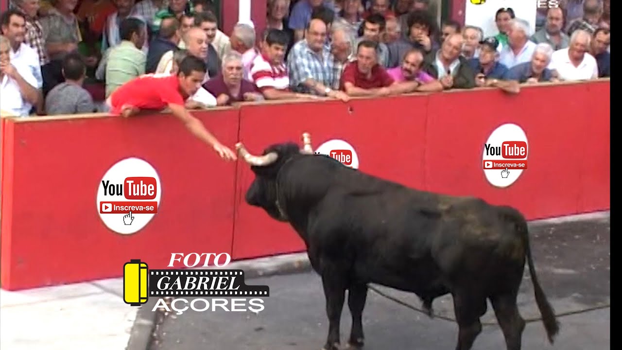 (Parte 26) das Melhores Touradas à Corda da Ilha Terceira Açores - YouTube