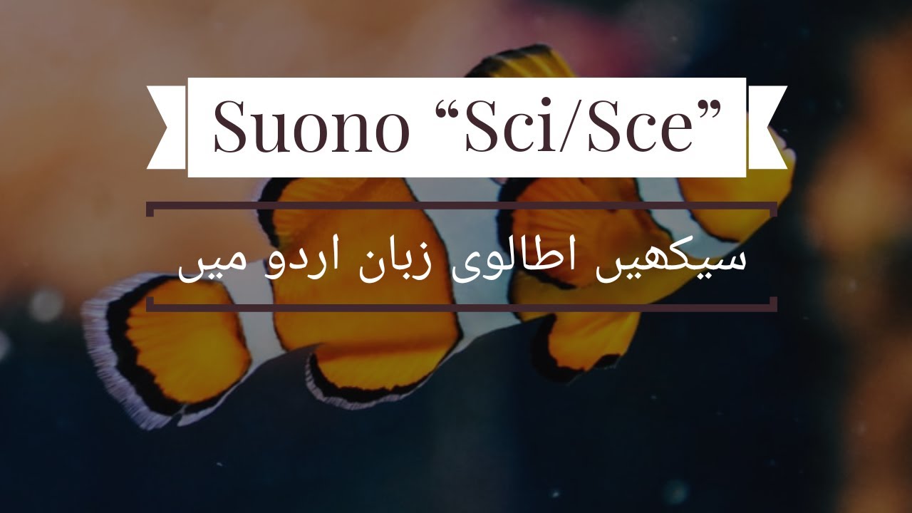 Suono Sci/Sce | Learn Italian in urdu - YouTube