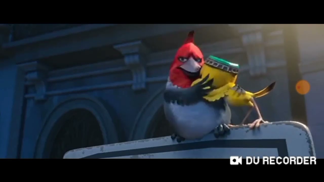 Nico the canary crying - YouTube