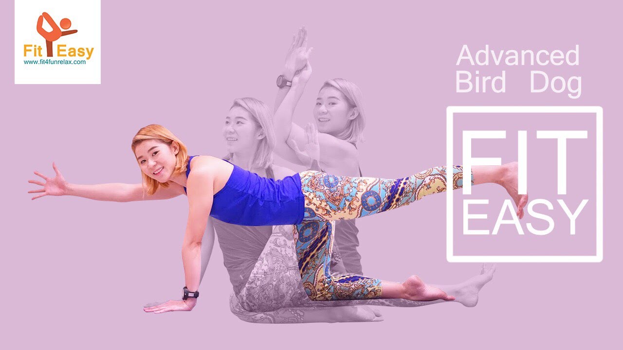 Fit Easy -Ep22. Advanced Bird Dog ได้ทั้งต้นแขนต้นขาหน้าท้องแข็งแรง ...